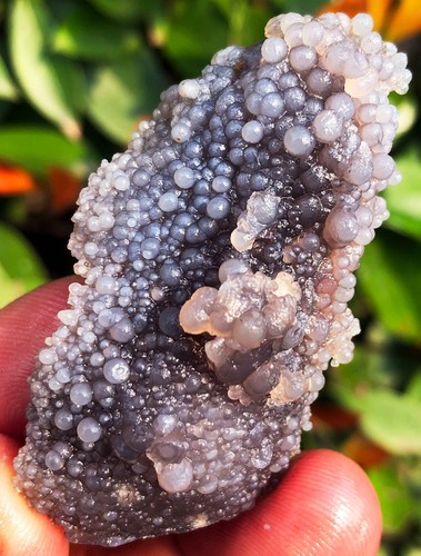 42.9g Natural Botryoidal Chalcedony Starlight Purple Grape Agate ...