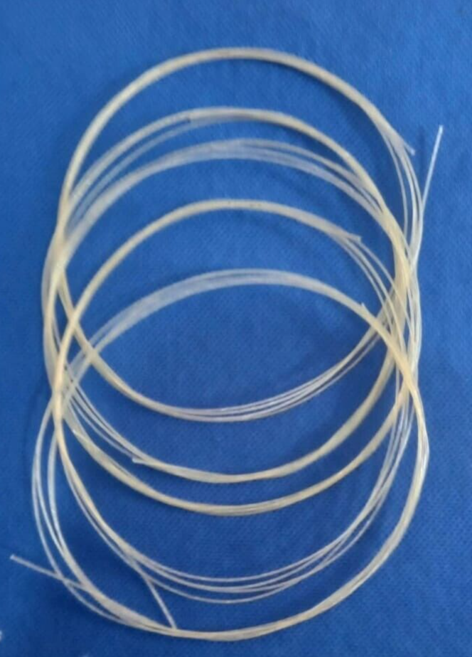 Violin Gut Individual Strings Ecoosa Gut in A E D G - 1 pk or 2 pk ...