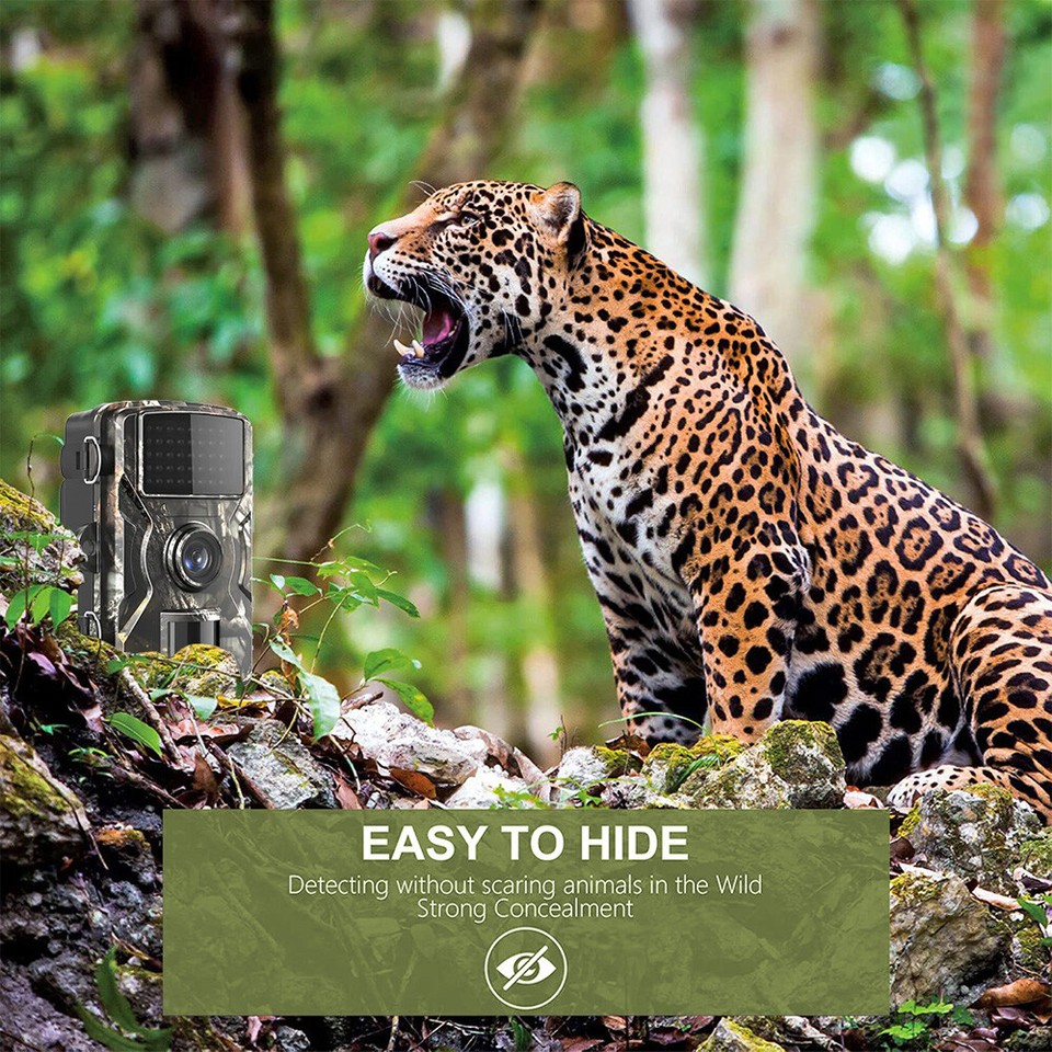 1/2/4 Pack Wildlife Hunting Trail Camera 1440P Game Camera with Night ...