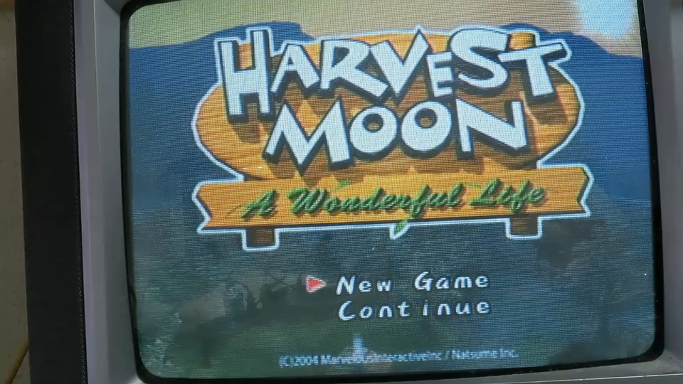Harvest Moon: A Wonderful Life & Another Wonderful Life Discs Only ...