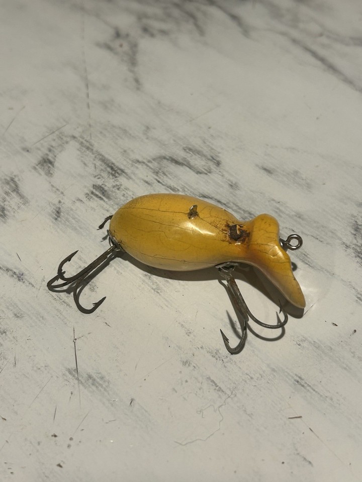 Very Unusual Early Bud Stewart Crippled Mouse in Orange Creamsicle ...