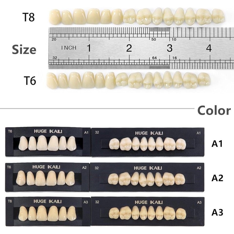 JMU Dental Acrylic Resin Denture Teeth A2 T8 Full Set False Teeth Upper ...