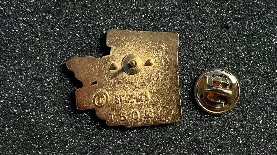 Pin's pins Rallye Raid Paris-Dakar T.S.O. 1993 STARPIN'S Parfait état ...