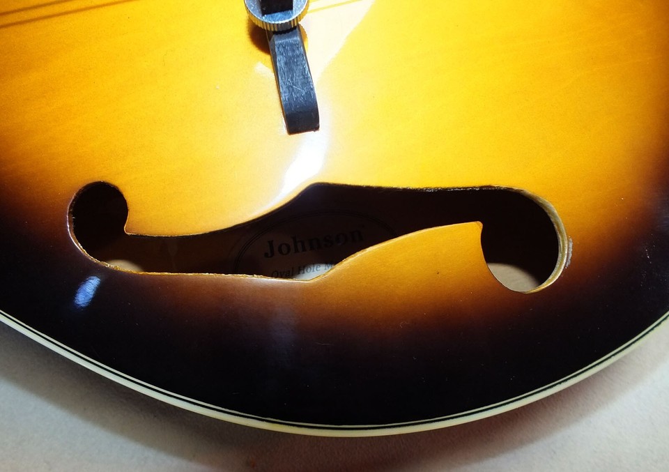 Nice Johnson Oval Hole Mandolin Model MA-100 | eBay