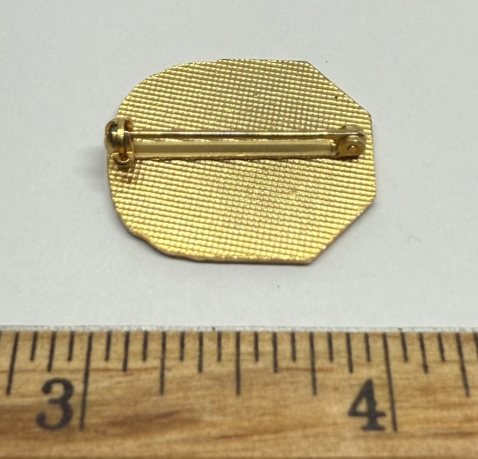 AMT American Medical Technologist Registered 30 Years Lapel Pin (P31 ...