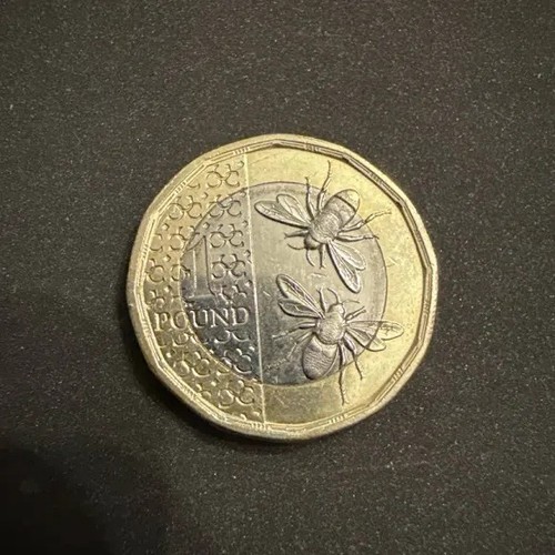 2025 King Charles III One Pound Coin Bees | eBay UK
