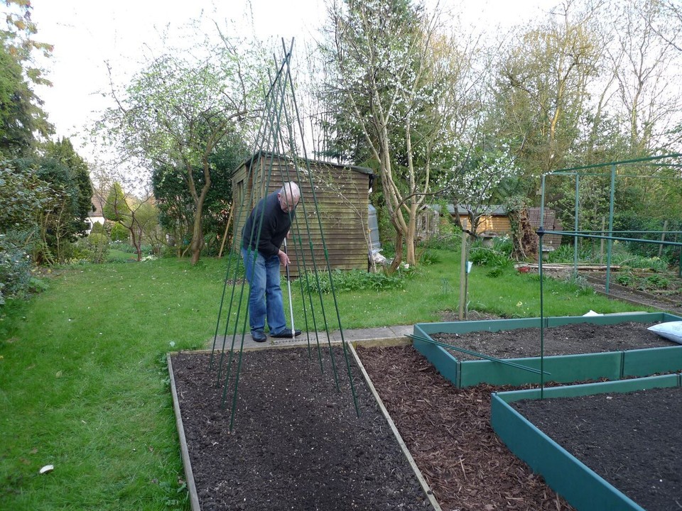 Pea and Bean Buddy Runner Bean Frame Climbing Plant Support 1.2m x 2.4m ...