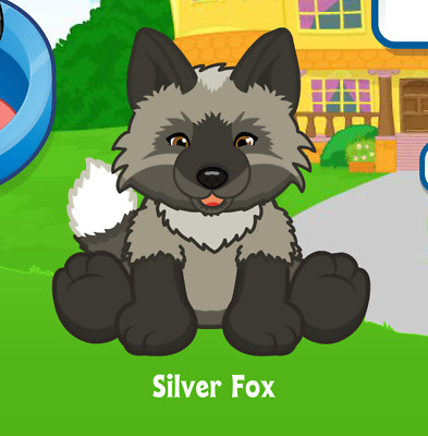 Webkinz Silver Fox Virtual Adoption Code Only Messaged Webkinz Silver Fox Code!! | eBay