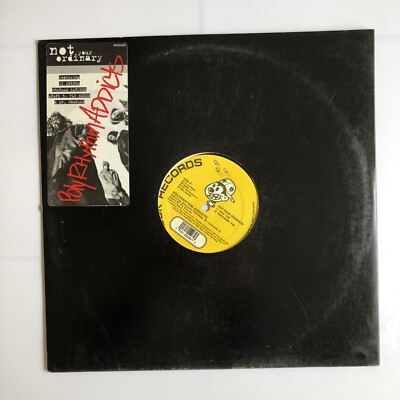 1999 Polyrhythm Addicts Not Your Ordinary WR 20298 A Vinyl Record 12 ...