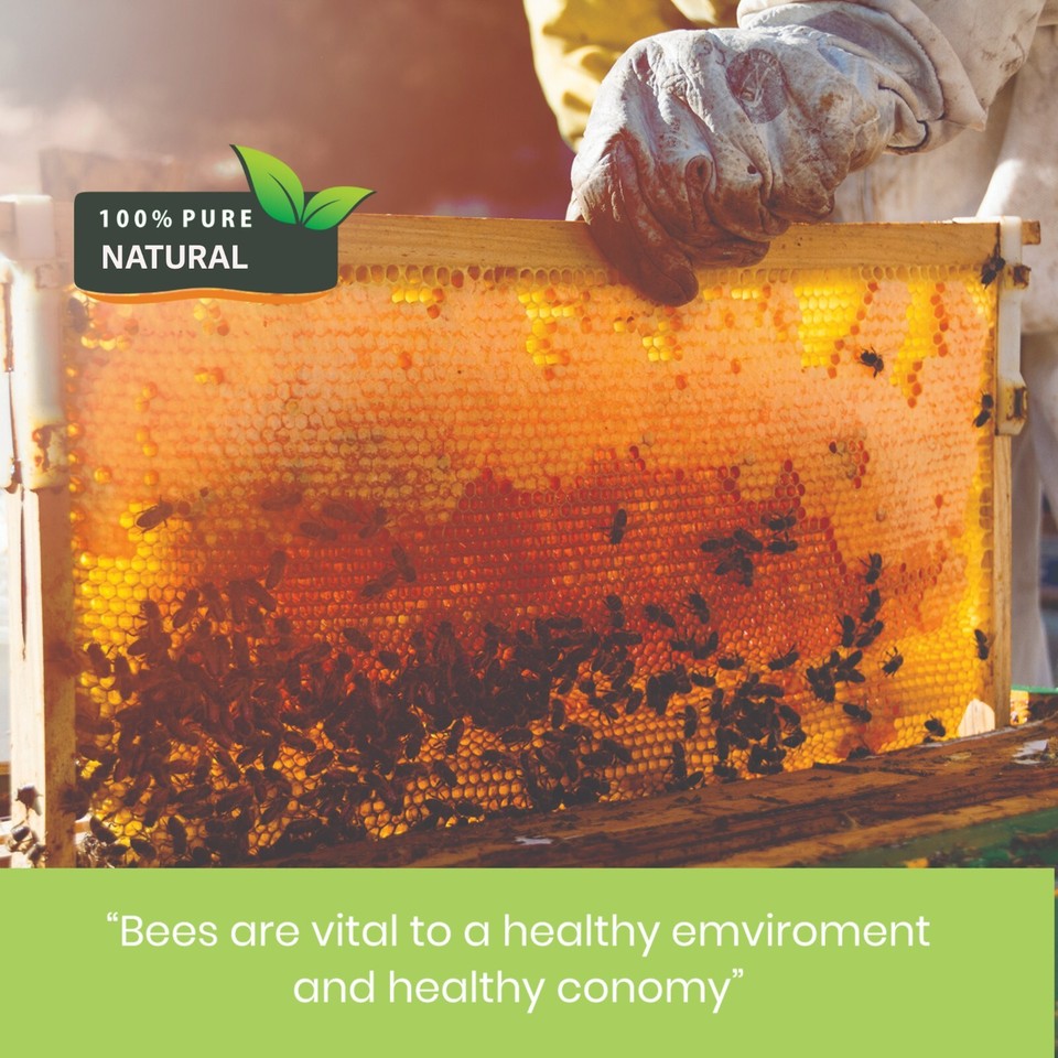 White Beeswax Pastilles Beads 100% Pure & Natural Made in USA Bulk 23 ...