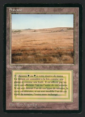 ***FBB French Savannah *** MTG Revised Magic Kid Icarus | eBay
