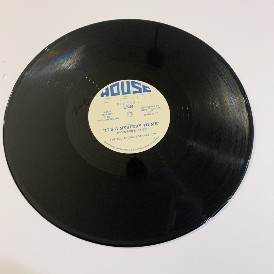 LNR WORK IT TO THE BONE 12" VINYL NM HOUSE JAM LABEL HJA 8803 CLASSIC ...
