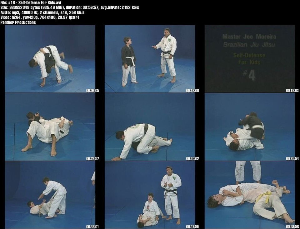 Advanced Brazilian Jiu Jitsu starring Joe Moreira (13 DVD Set) | eBay