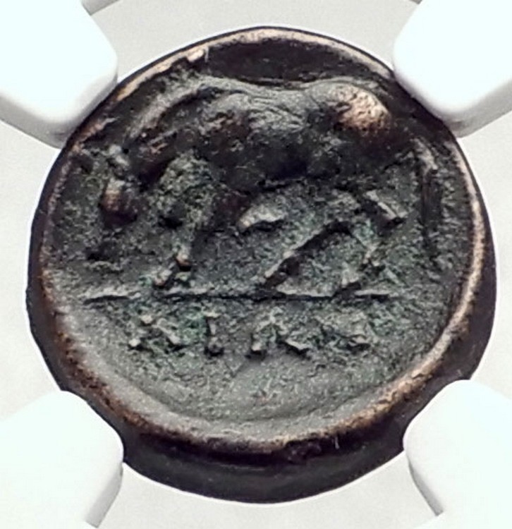 LARISSA in THESSALY 350BC Nymph & Horse Authentic Ancient Greek Coin ...