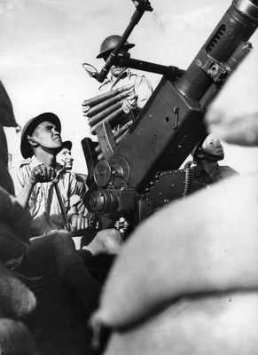 WW2 Photo Australian Troops 40mm AA Gun Australia WWII World War Two ...