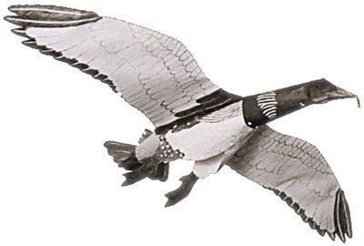 Jackite Loon Decoy Kite / Windsock | eBay