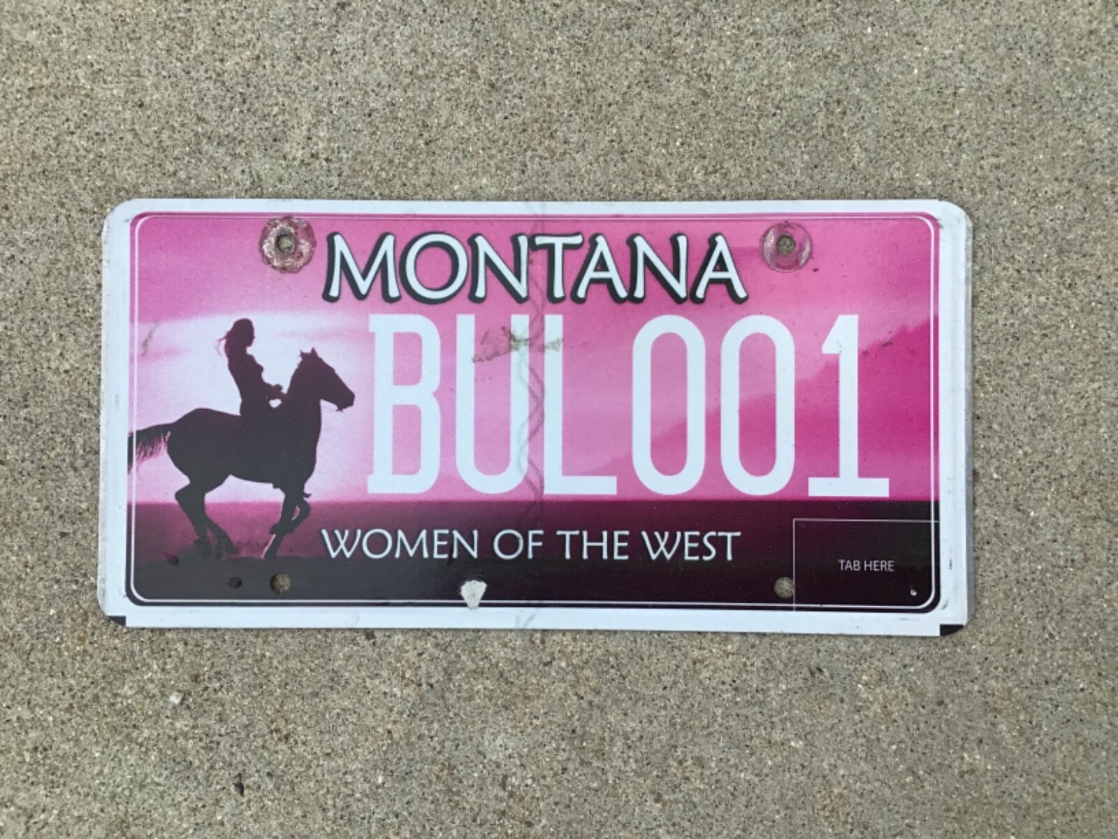 MONTANA - WOMEN OF THE WEST - LICENSE PLATE | eBay