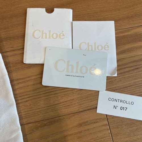 Chloe Parati Guam color orange handbag shoulder w/guarantee card 38×25× ...