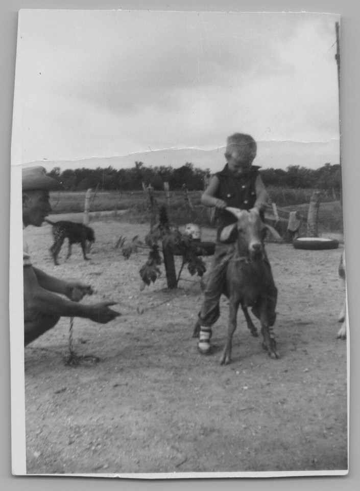 Boy Riding Goat with Man in Background Scenic Black and White Portrait ...