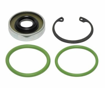 AC Compressor Shaft Seal Kit Fits GM V5/ HR6/ HT6 DOUBLE LIP SEAL | eBay