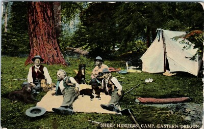 EASTERN OREGON SHEEP HERDERS CAMP 1916 WORKING MEN ANTIQUE POSTCARD ...