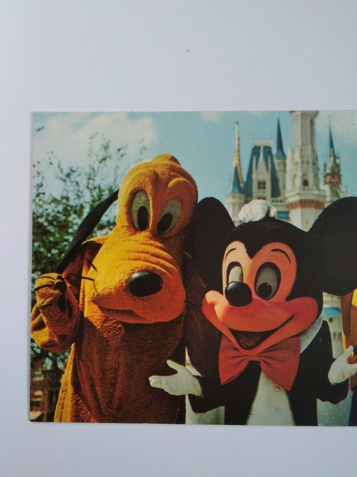 Disney World Florida Postcard Vtg Mid 1900s Orlando Mickey Pluto Goofy ...