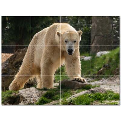 Bear Ceramic Tile Wall Mural PT500128. 24" W x 18" H (12) 6x6 tiles | eBay