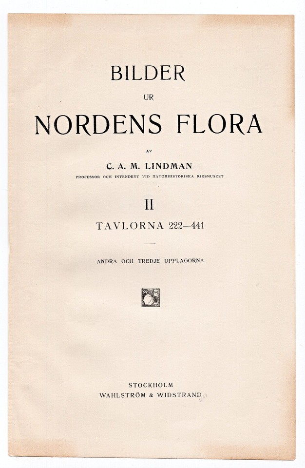 1926 Lindman Botanical Flower Print, Wild Carrot, Bird's Nest (Daucus ...