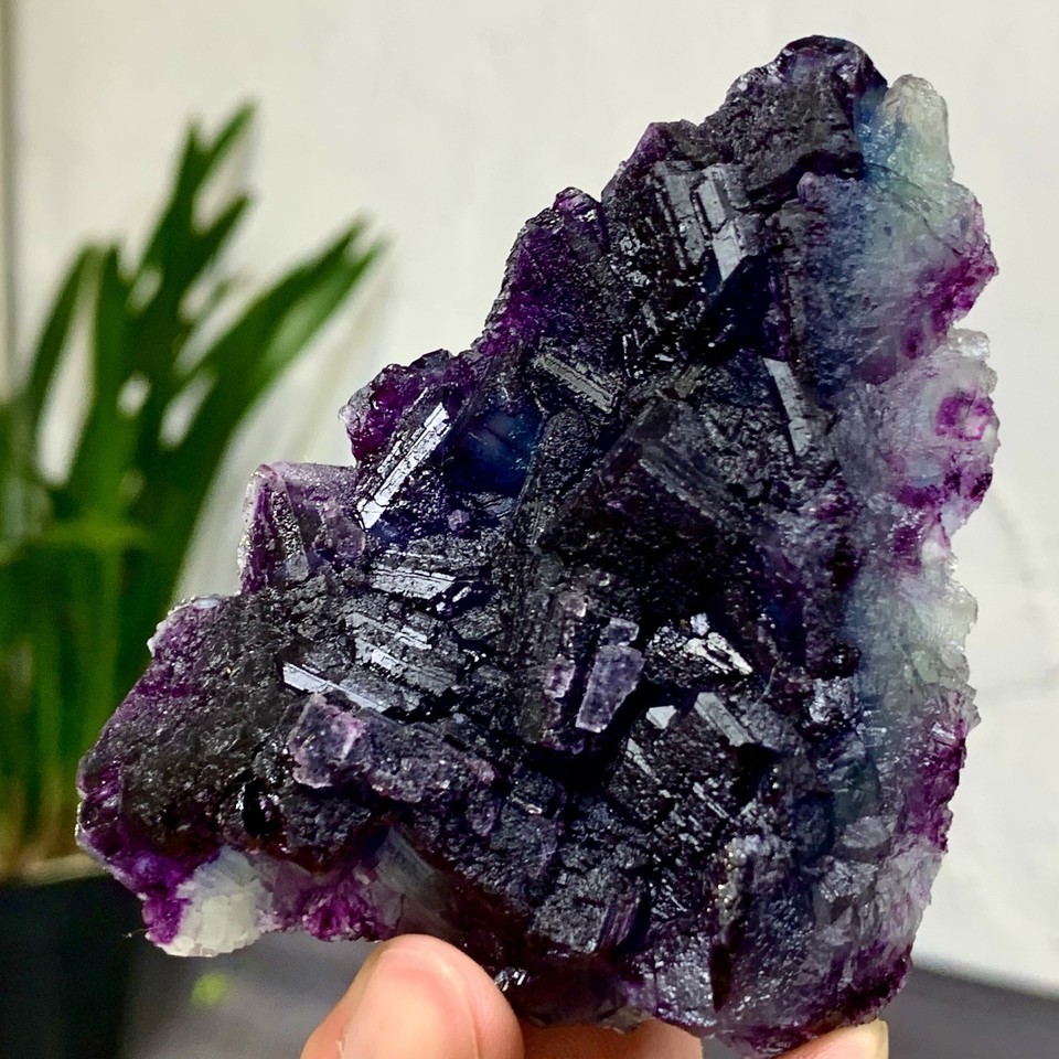 189G Rare Purple Blue Cubic Fluorite Mineral Crystal Sample/Zhejiang ...