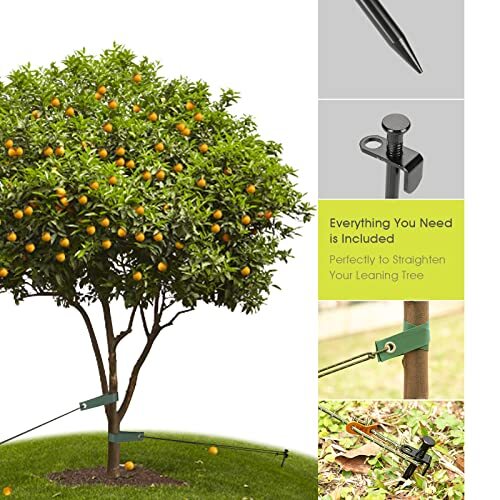 Heavy Duty Tree Stake Kits 15.75 Inch Steel Tree Stakes and Supports ...