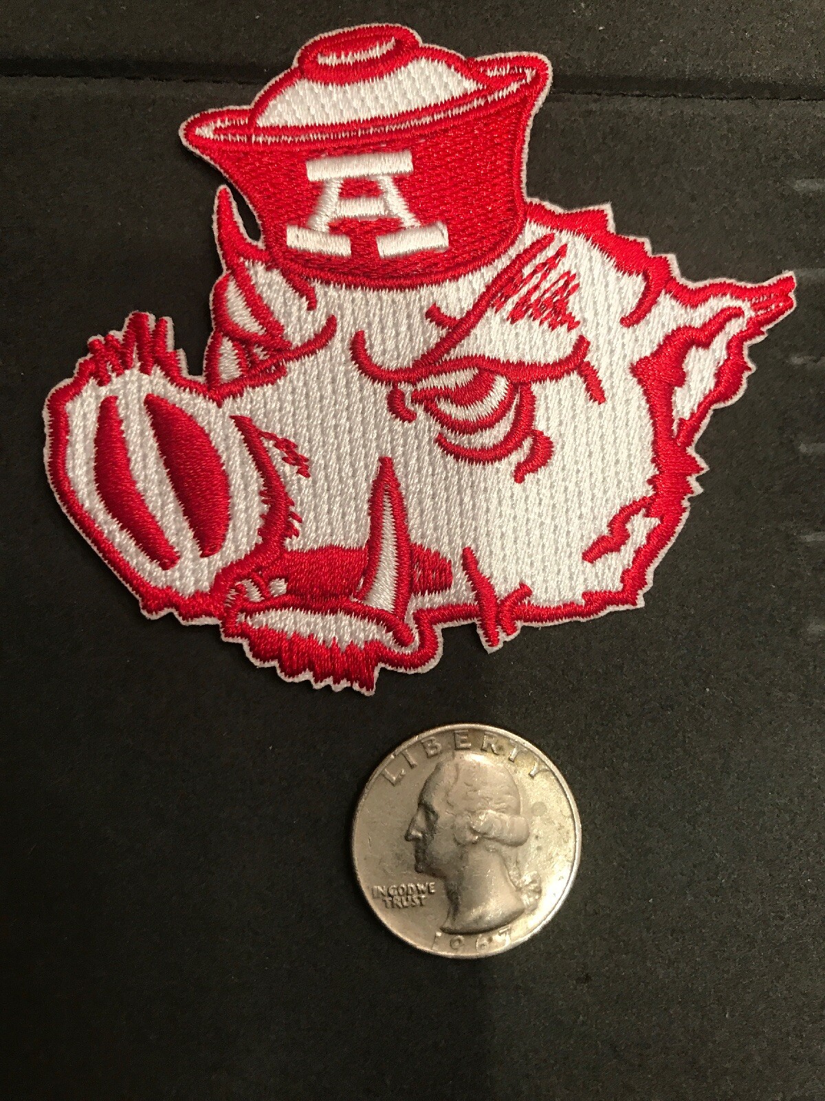 Arkansas Razorbacks HOGS RARE Iron-On patch 3" X 2.5 | eBay