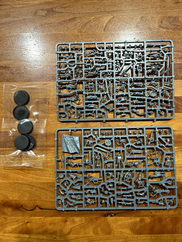 Warhammer 40K Astra Militarum Cadian Command Squad New on Sprue Cadia ...