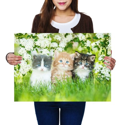 A2 | Cute Cat Kittens Garden Flowers - Size A2 Poster Print Photo Art ...