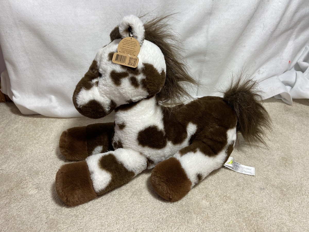 Baby Pinto Horses