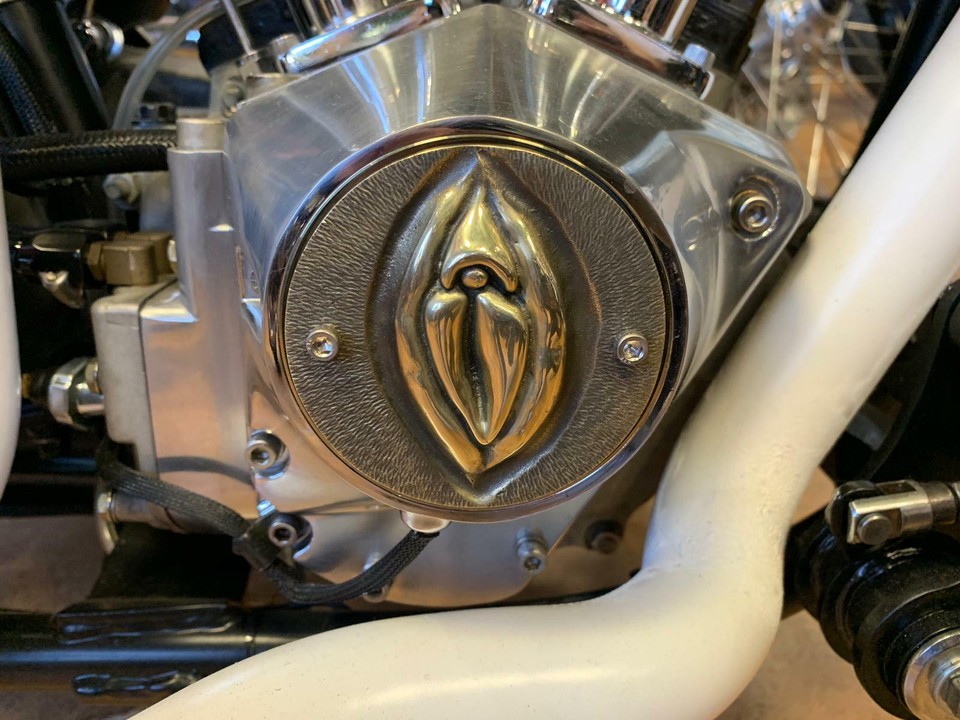 Harley-Davidson SHOVELHEAD, EVOLUTION,Sportster point cover, SOLID ...