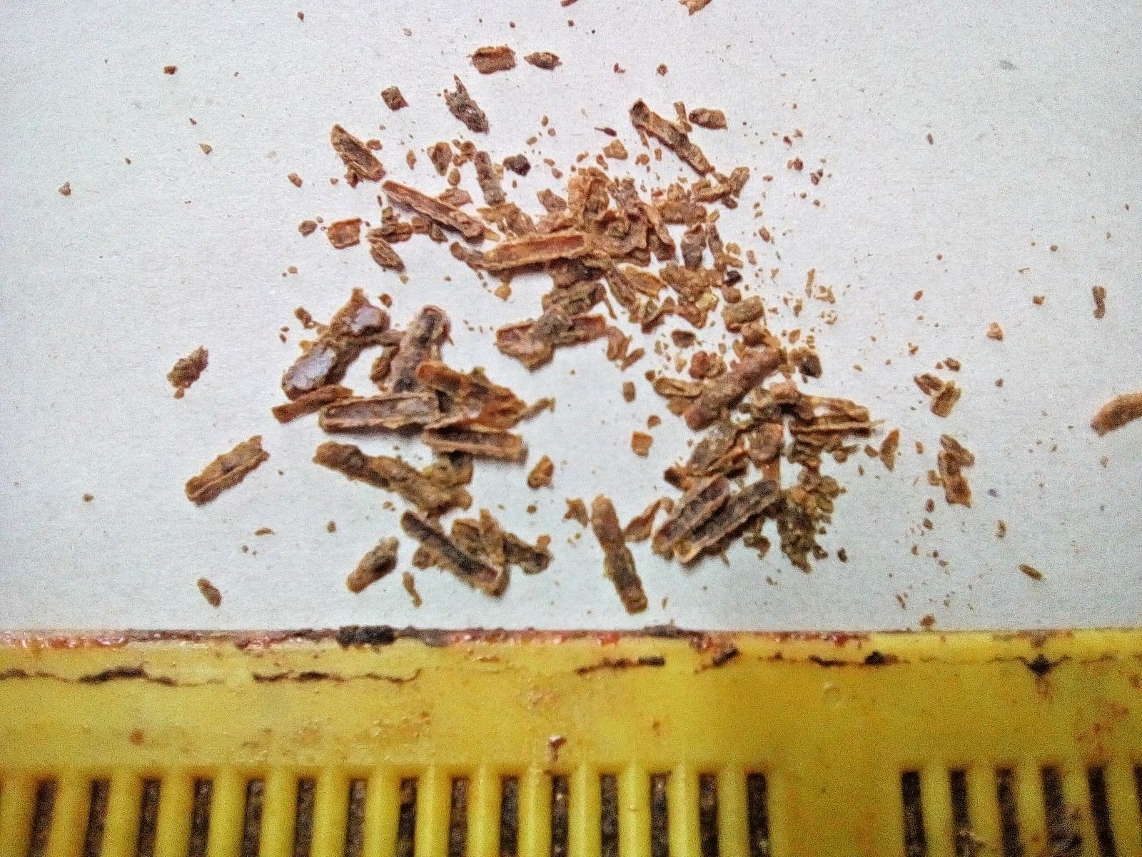 BEE PROPOLIS COLLECTOR 48/40 cm HIGH QUALITY FLEXIBLE PLASTIC MATERIAL ...