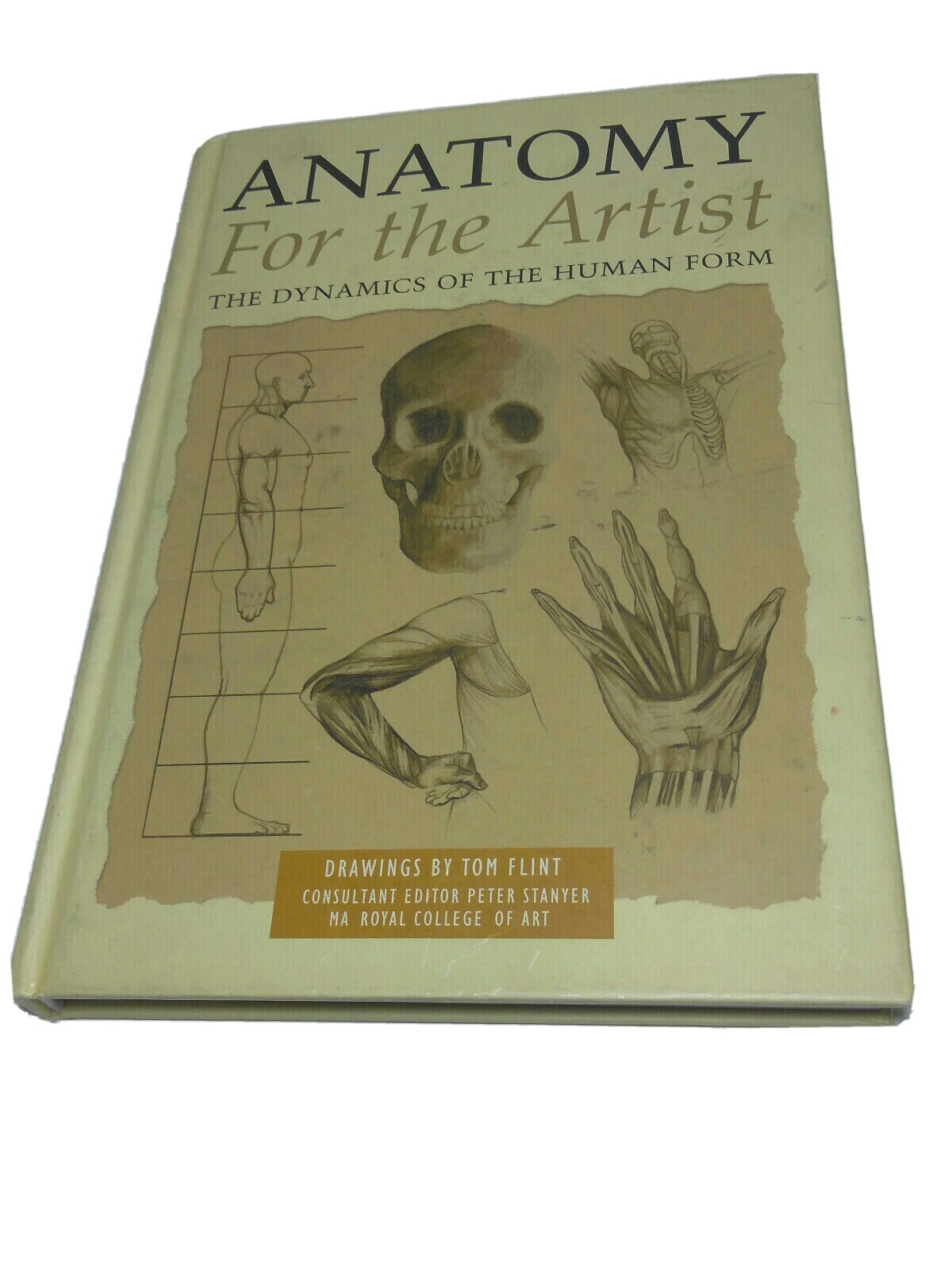 Anatomy for the Artist : The Dynamics of the Human Form by Peter ...