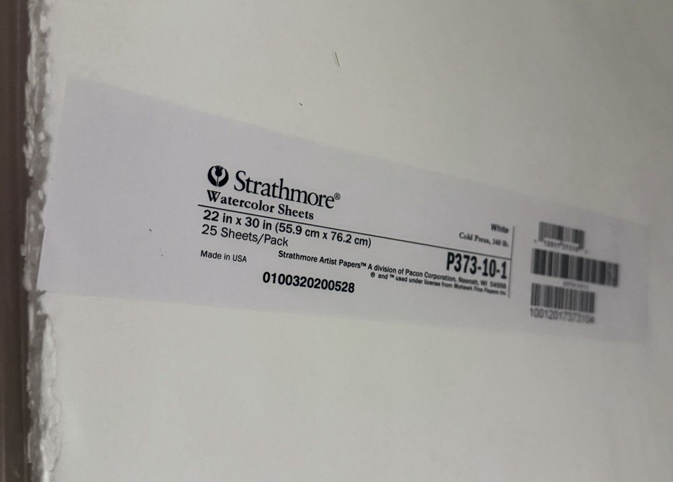 100 PACK - STRATHMORE 300 Series Watercolor Sheets 140Lb Cold Press ...