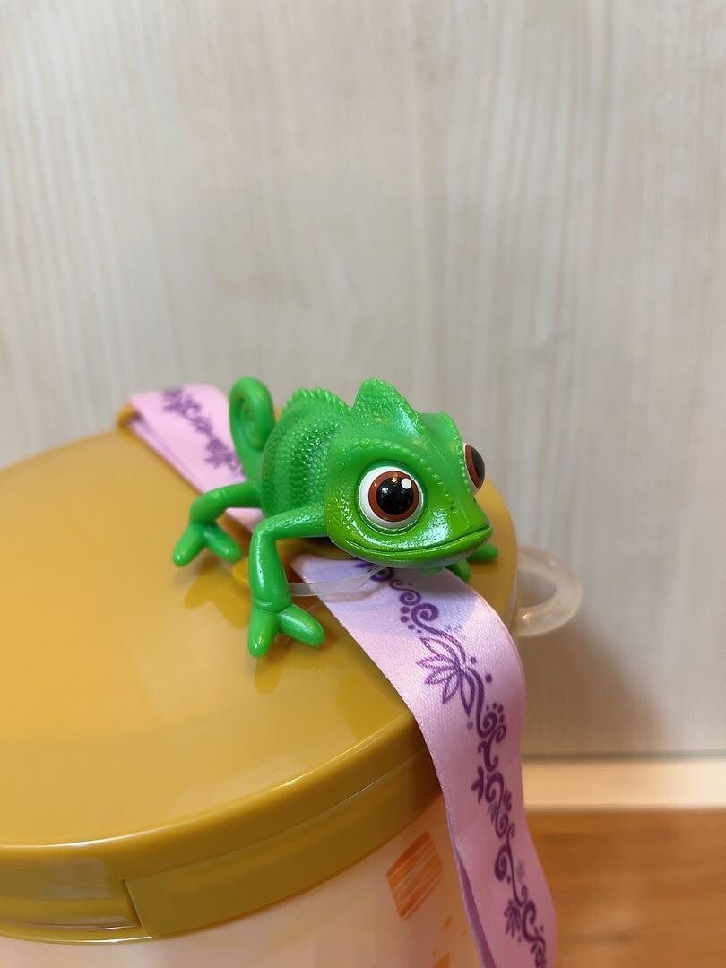 Popcorn Bucket Tangled Rapunzel Tokyo Disney Resort Limited Lantern ...