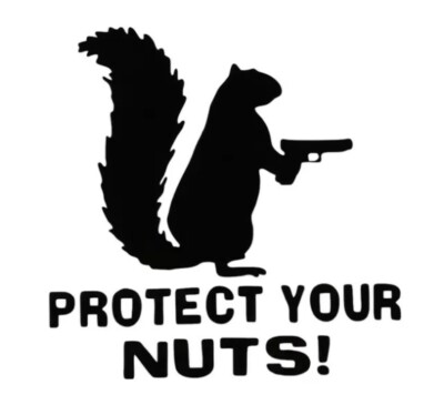 Squirrel Pistol Car Stickers Decorative Car Styling Window Decal S 5"x ...