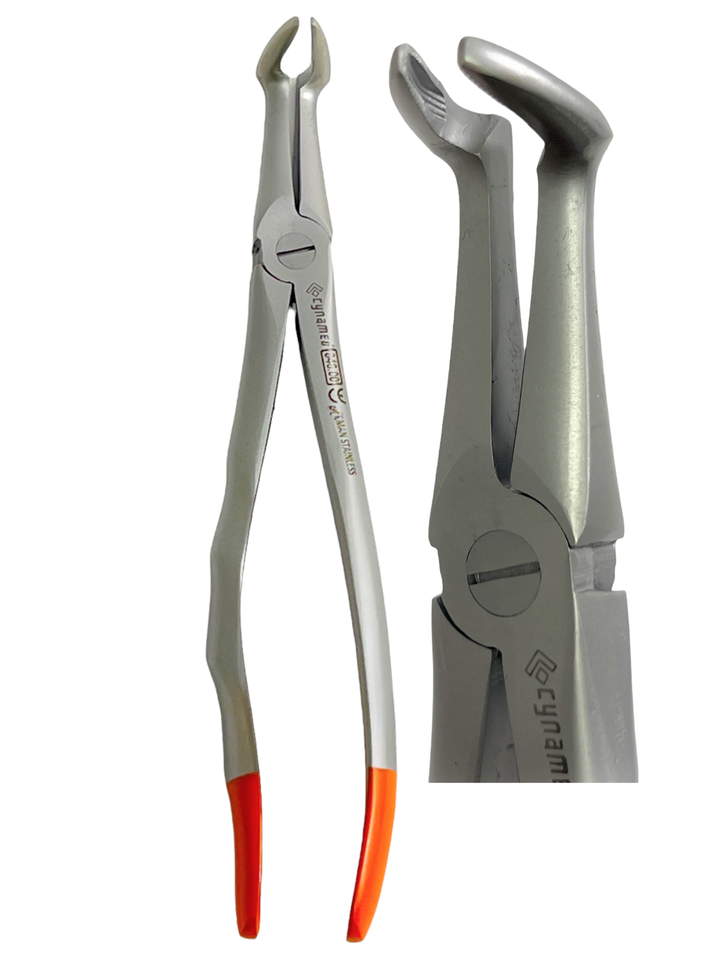 New German Premium Dental Extracting Forceps Tooth Extraction Dental ...