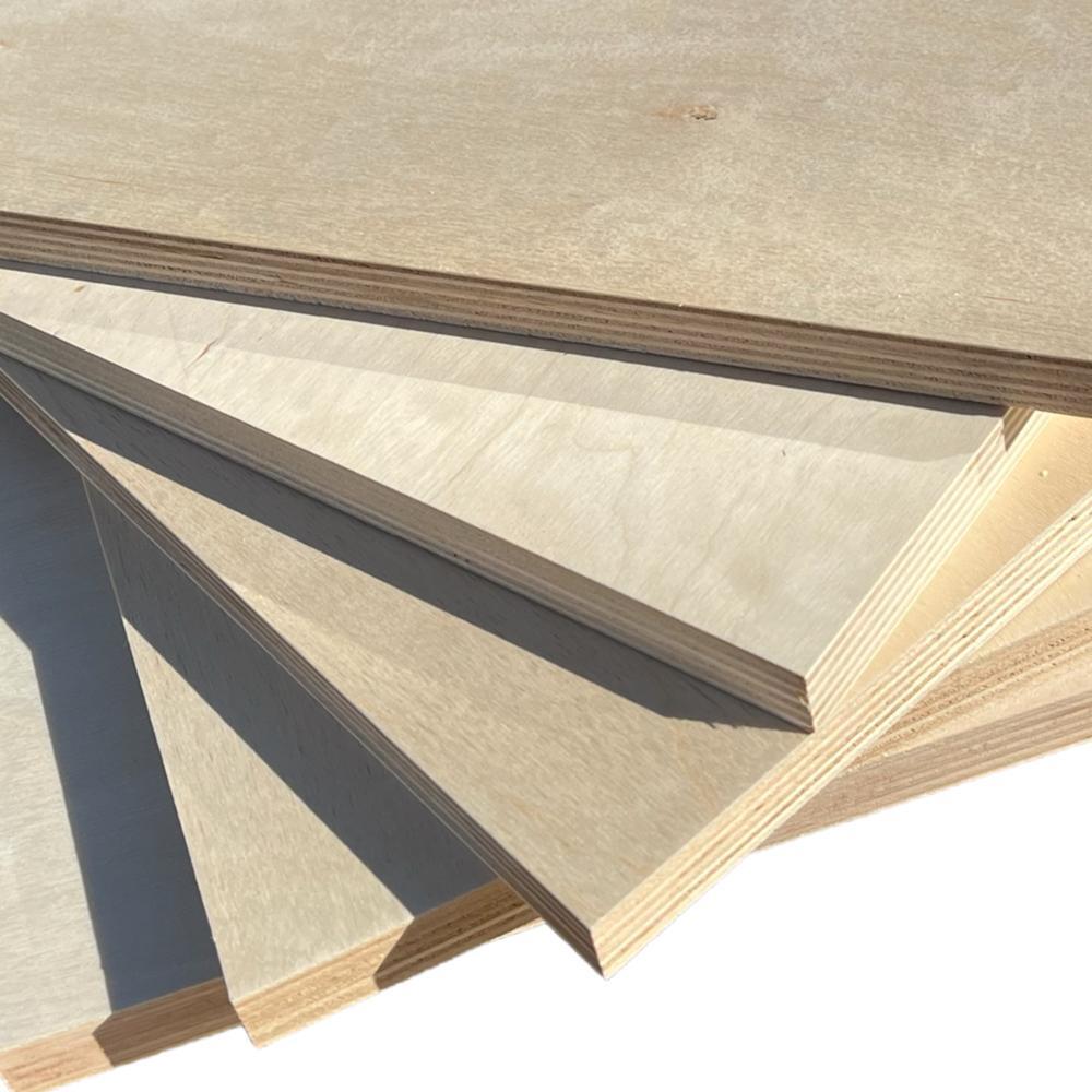 Multiplexplatte Sperrholz Sperrholzplatte Holzplatte Multiplex Holz XXL ...