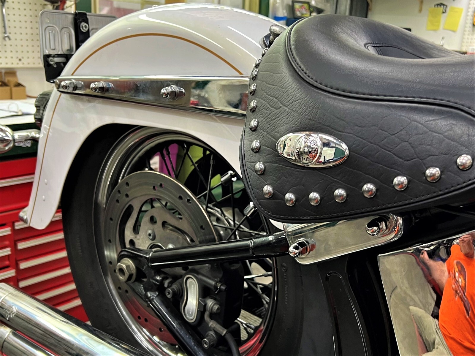 8 Harley Softail Chrome ACORN Rear Fender Strut Bolts 2018 - up FXST ...