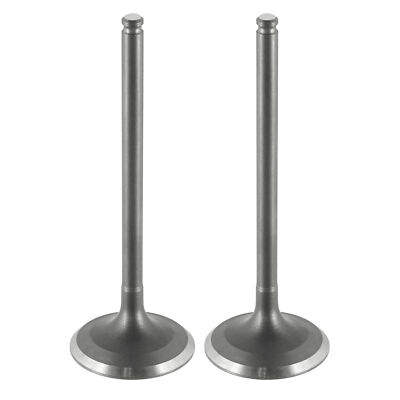2 Exhaust Valves for Suzuki King Quad 700 4x4 ATV LT-A700X LTA700X 2005 ...
