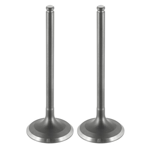 2 Exhaust Valves for Suzuki King Quad 700 4x4 ATV LT-A700X LTA700X 2005 ...