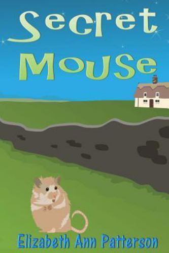 Secret Mouse by Elizabeth Patterson (2015, Trade Paperback) for sale ...