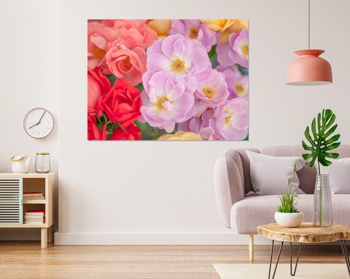3D Bright Flowers A015 Wall Stickers Wall Murals Wallpaper Assaf Frank ...