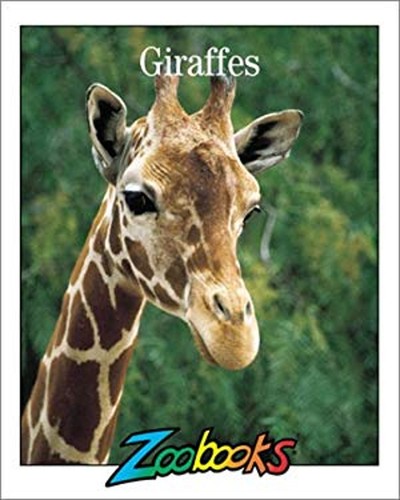 Giraffes Paperback Ltd. Staff Wildlife Education 9780937934098| eBay
