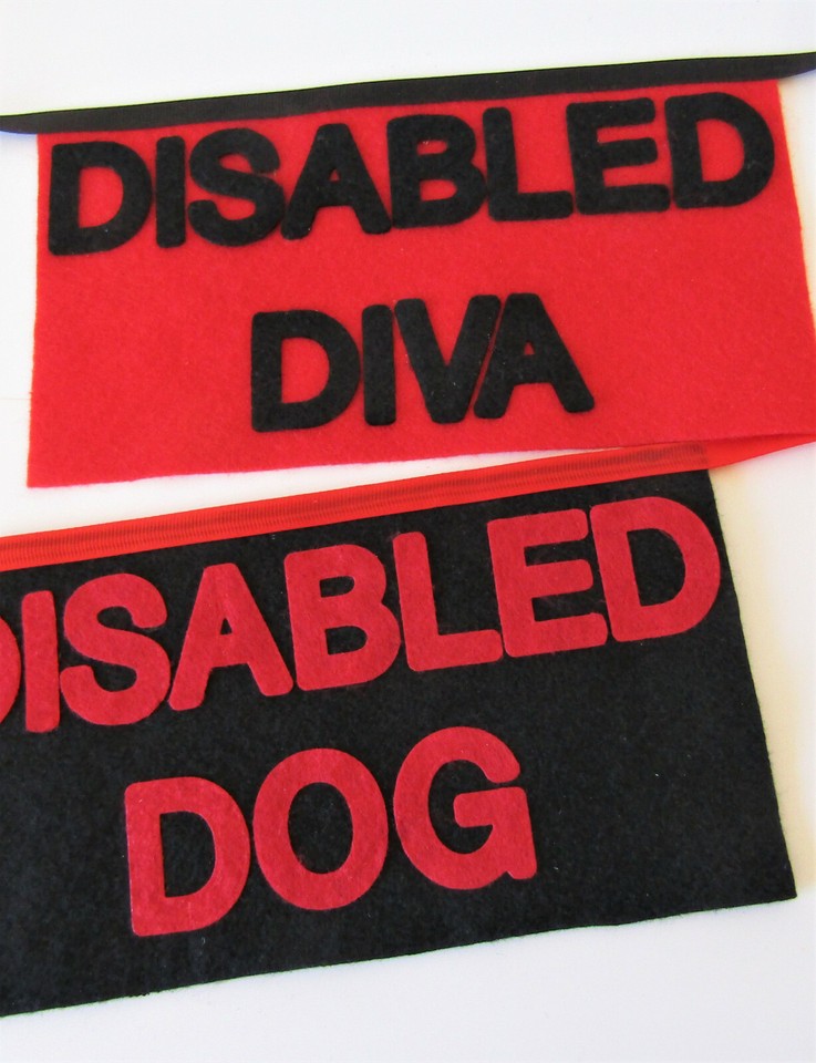 Sign for Stroller Disabled Dog Special need Puppy Pram Pushchair Buggy ...