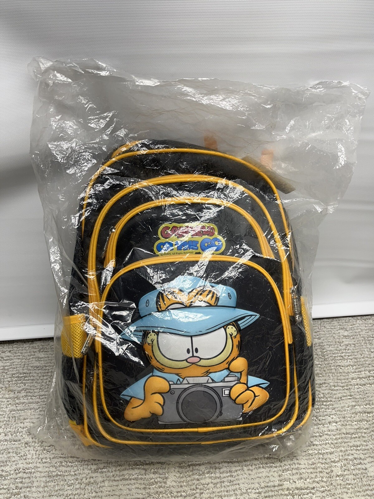 Garfield Going To School